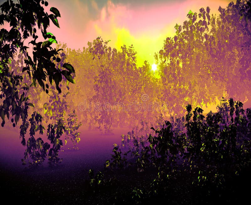 Nice sunset stock photo. Image of grass, dramatic, dawn - 30046022