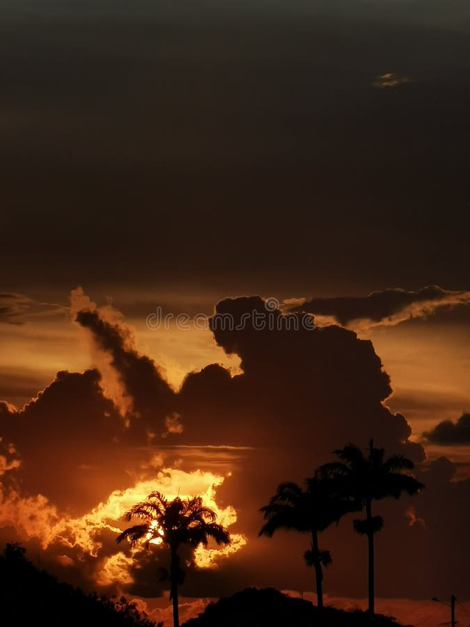 Nice Sunset with Palm Tree and Amazing Red Fire Sky Stock Photo - Image ...