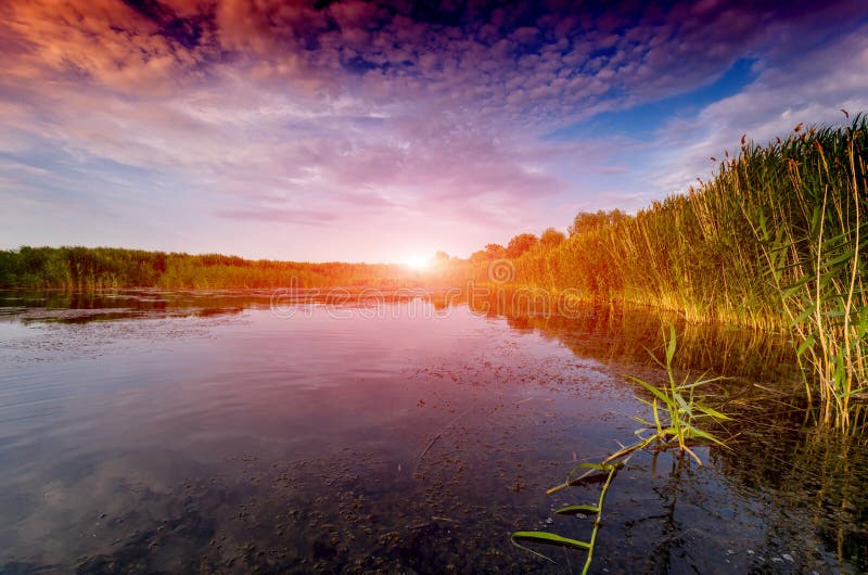 Hot susnet on lake stock image. Image of cane, landscape - 119949597