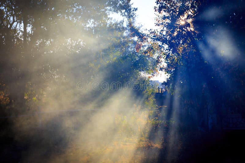 Nice sunshine an rays stock image. Image of beautiful - 60777999