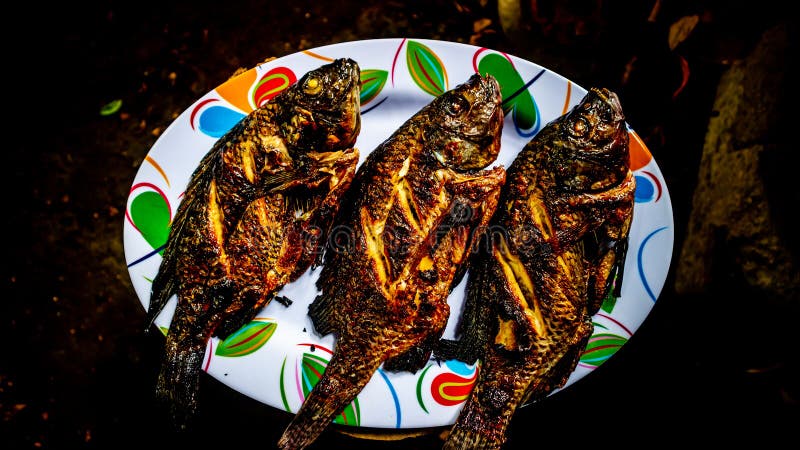 Nice and Tasty Grilled Tilapia Fish Stock Image - Image of health, diet ...