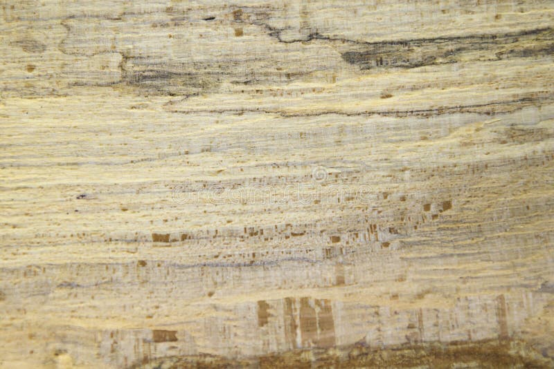 Nice texture stock photo. Image of decorations, nice - 89513008