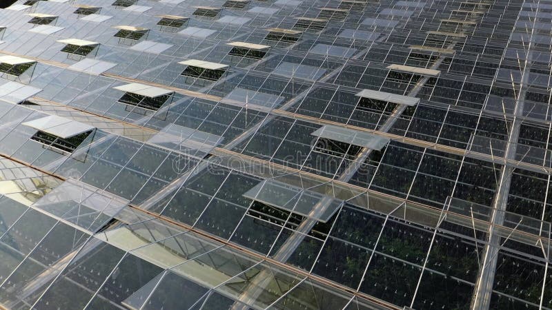Nice Top View of the Glass Roof. Glass and Metal Texture. Ventilation ...