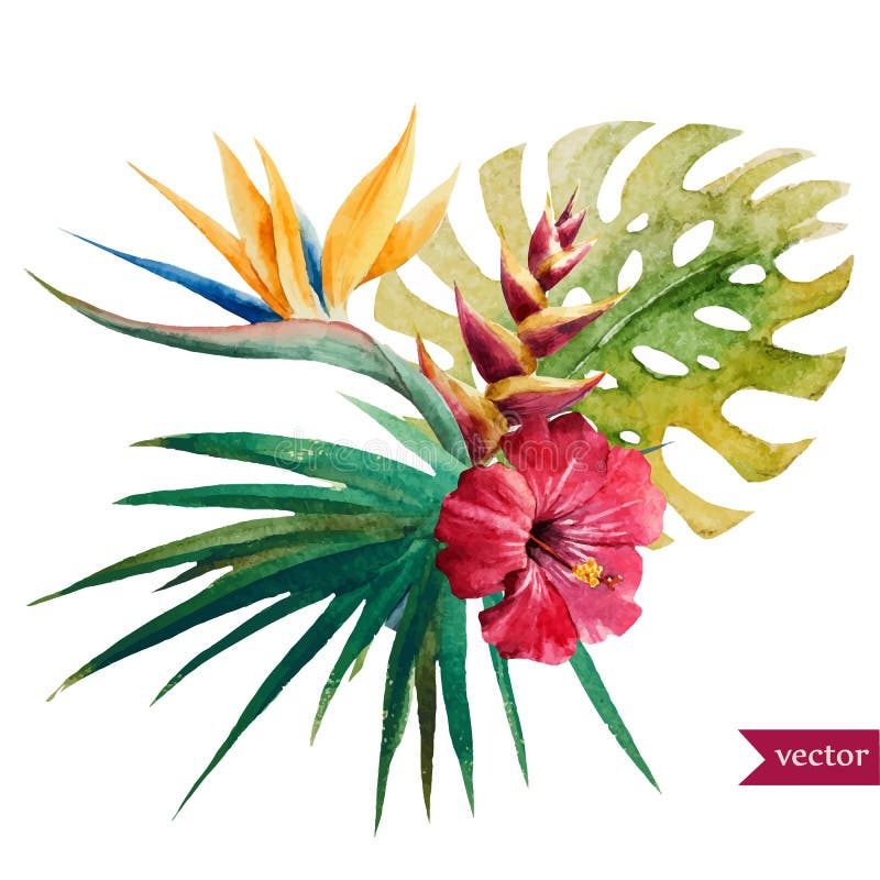 Nice tropical flowers stock vector. Illustration of vector - 51519302