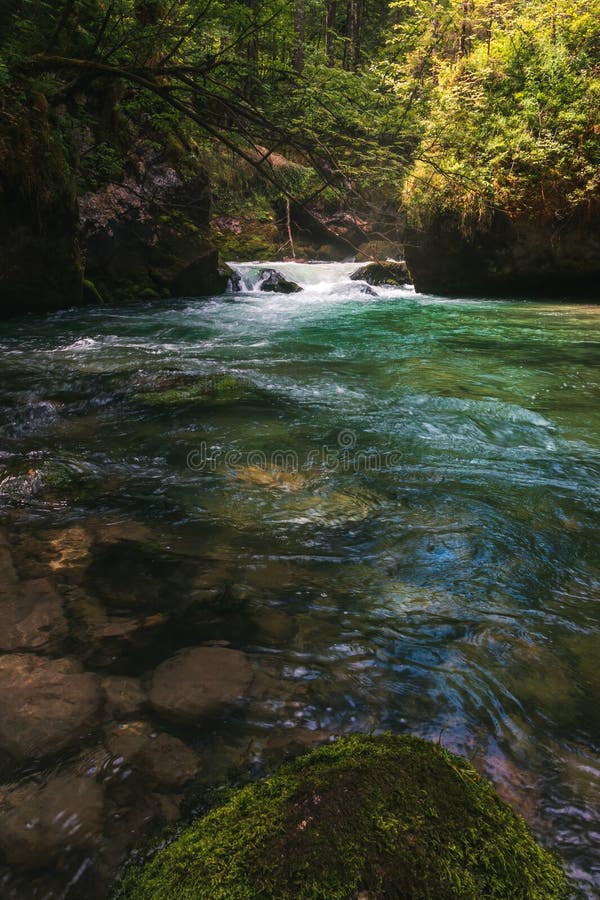 Nice Turquoise Small River with Stone and Trees. Austria Alps Mountain ...