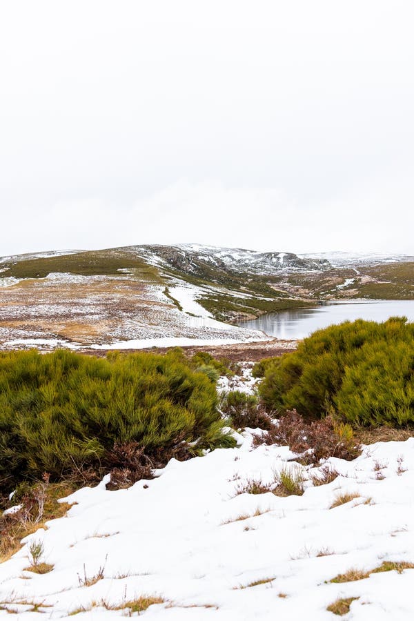 Nice Vertical Panoramic View of a Lagoon with Snowy Mountains in the ...