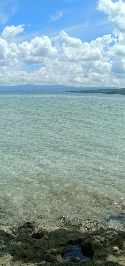 Nice view for bad mood stock photo. Image of leaf, wave - 265668518