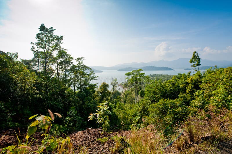 Nice View of the Bay through the Jungle. Stock Image - Image of sunny ...