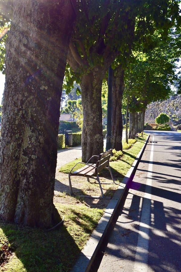 Nice View of a Bench Lit by the Sun`s Rays Stock Image - Image of ...