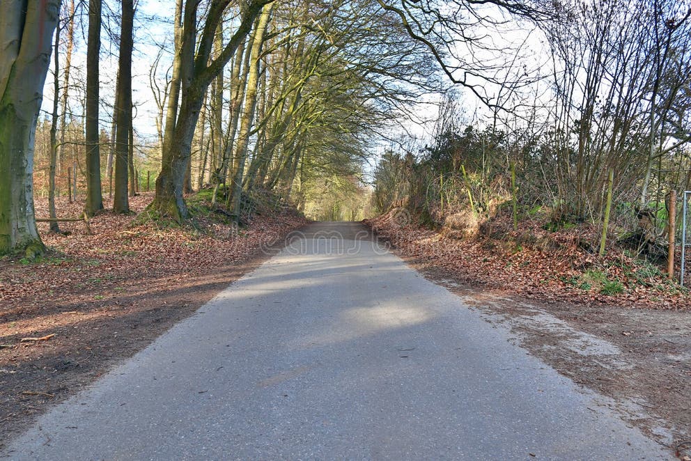 Nice View on Footpaths in a Northern German Landscape Stock Photo ...