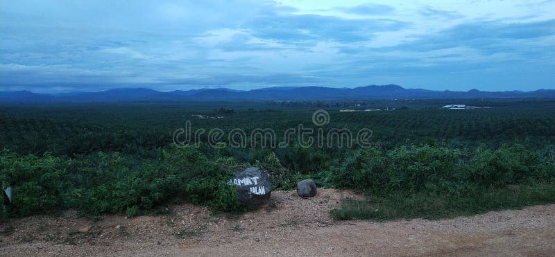 Nice View but Environment Overgrown with Palm Groves Stock Photo ...