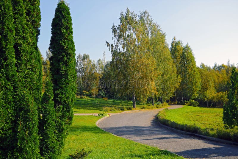 Nice View of the Garden with Different Plants and Trees. Nice Place To ...