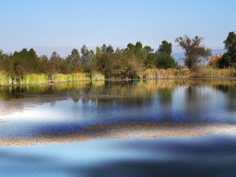 Nice view in little lake stock image. Image of natural - 141125509