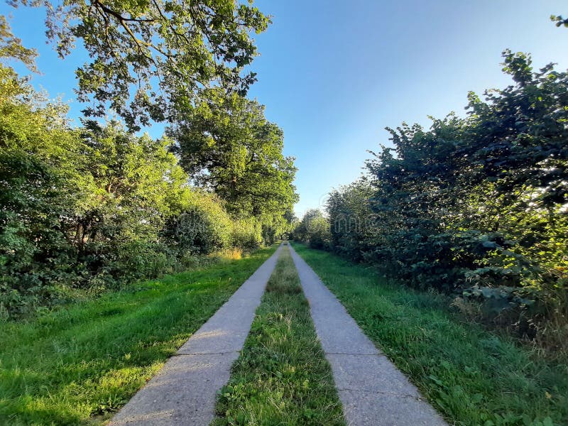A Beautiful Perspective of a Pathway Stock Photo - Image of green ...