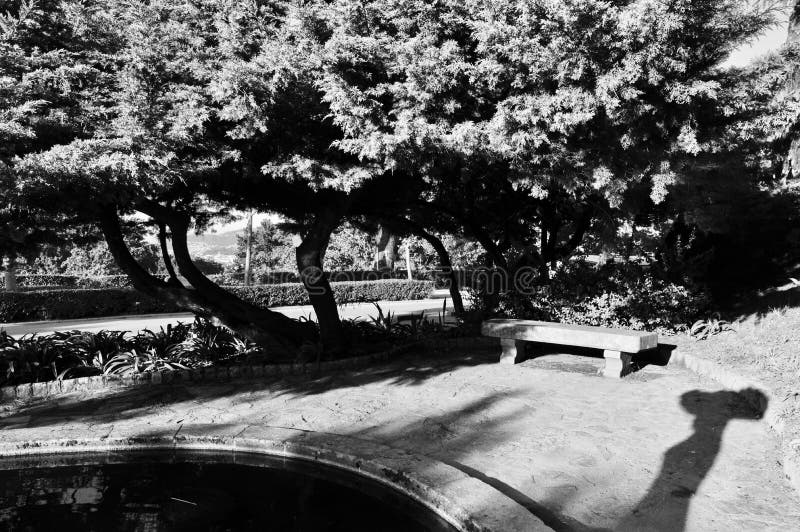 Nice View of a Nostalgic Bench Stock Image - Image of alone ...