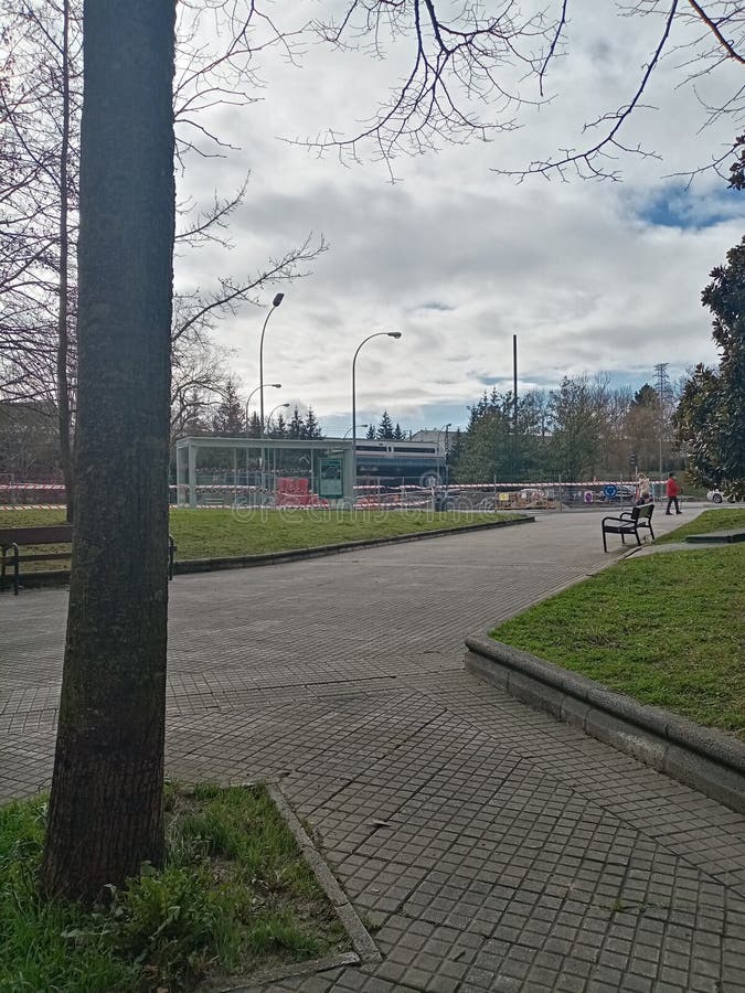 Nice view in the park city stock photo. Image of plant - 208616674