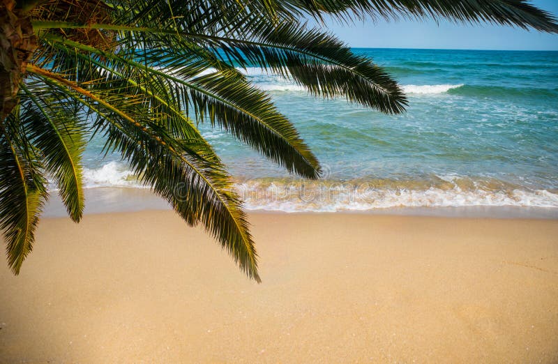 Nice View of the Sea and the Beach Stock Image - Image of relaxation ...
