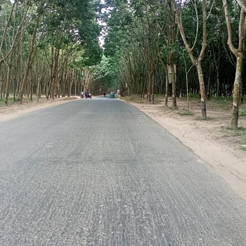 Nice view of selfi road. stock image. Image of road - 205821445