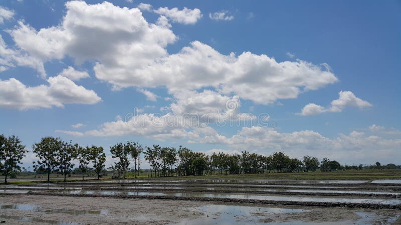 Nice View of the Sky Over the Fields Stock Image - Image of view, nice ...