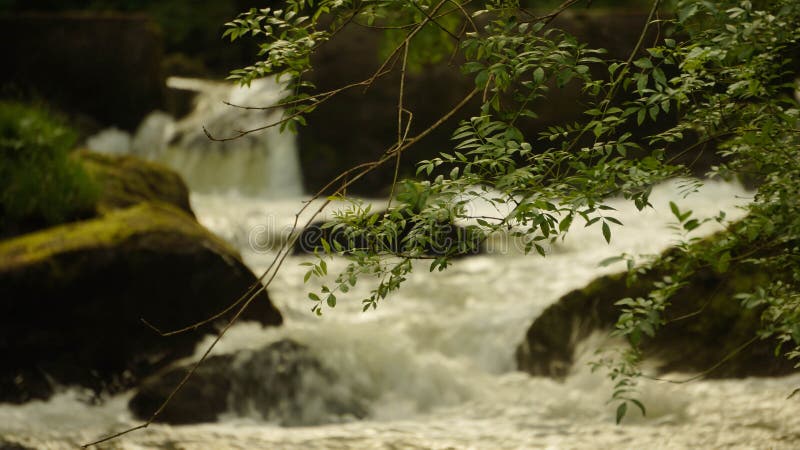 A Nice View of a Stream Flowing between Rocks Forming Small Waterfalls ...