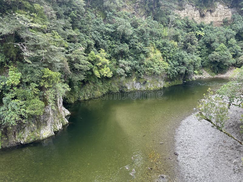 Nice View of Stream and Green Forest in the Park Stock Image - Image of ...