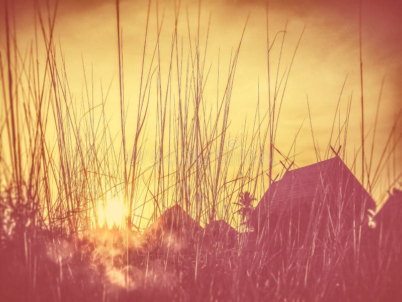 Nice View of Sunset Background , Little Hut and Grass Stock Photo ...