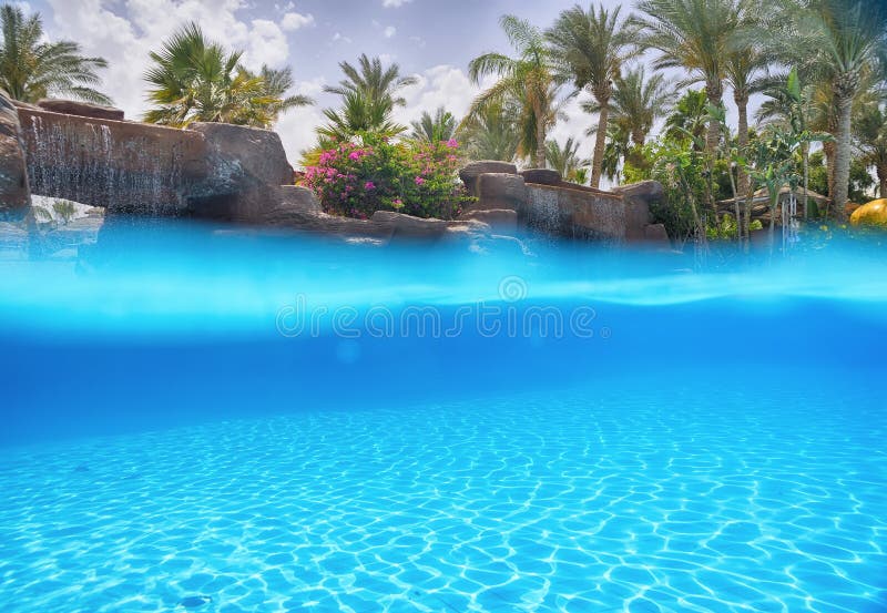 Swimming pool stock image. Image of climate, pool, palm - 103563743