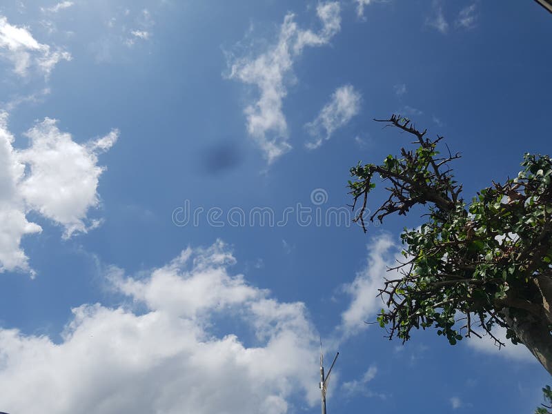 A nice views of nature stock image. Image of daytime - 201219719