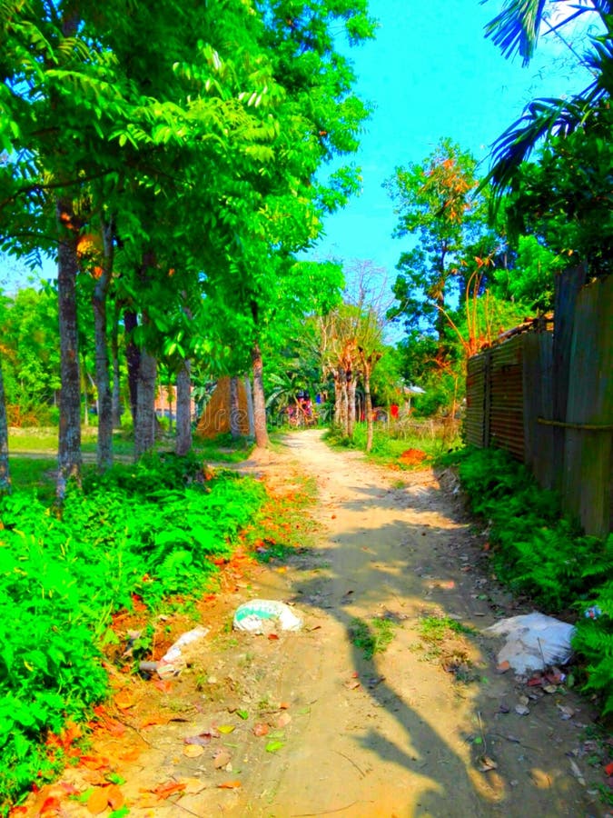 Nice village house stock photo. Image of italy, green - 78881624