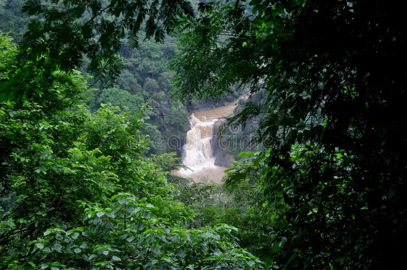 Little Dunhinda stock photo. Image of dunhinda, sunlight - 267735958