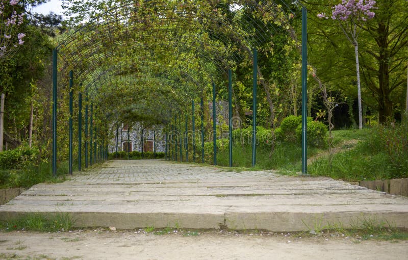A Nice Walking Path in the Park Stock Image - Image of houses, forest ...