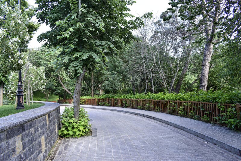 A Nice Walking Path in the Park Stock Image - Image of water, running ...