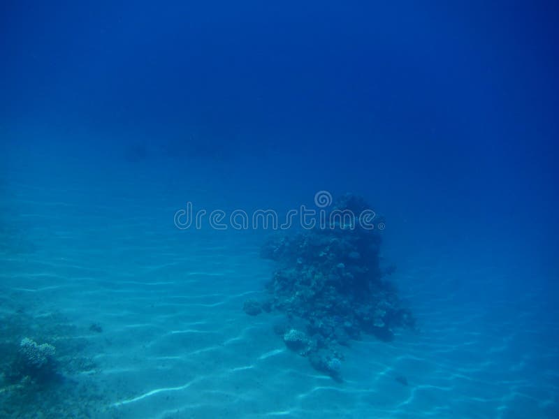 Blue sea stock photo. Image of clean, fish, beauty, reef - 29798238