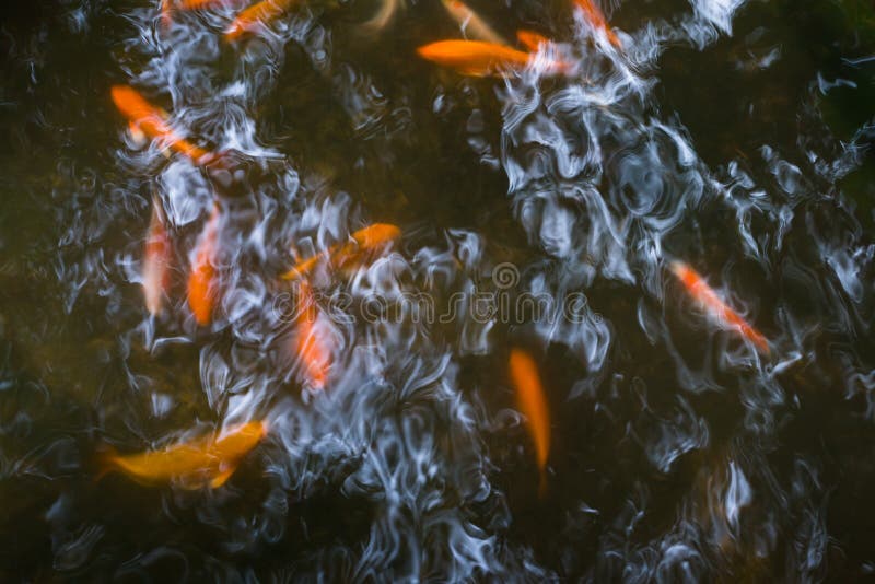 Nice Water Ripples with a Fish Background Stock Image - Image of summer ...