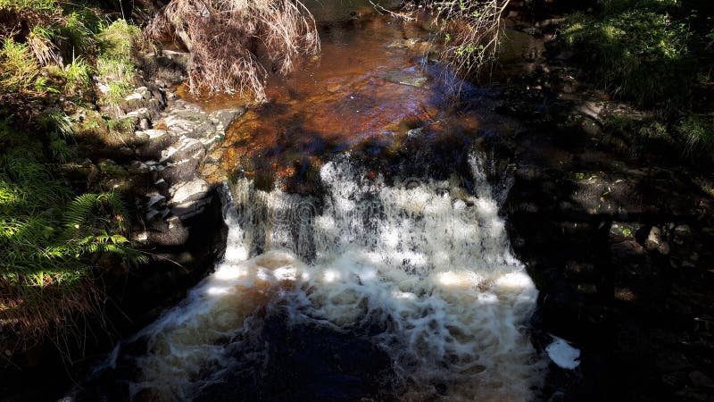Nice Water Running Down Streem Stock Photo - Image of nice, water ...