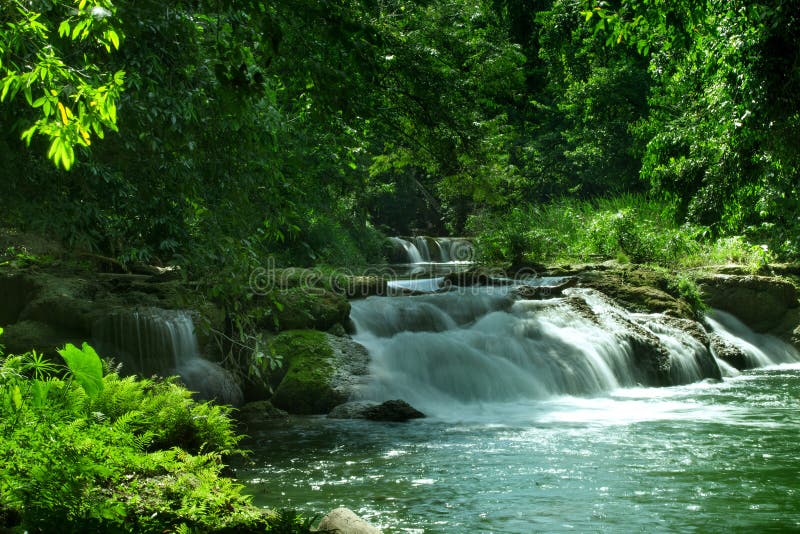 Nice waterfall stock image. Image of waterfall, exotic - 69578389