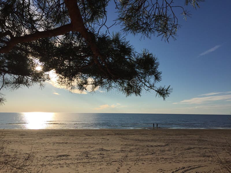 Nice Weather with Pigeon Resting on the Roof with Sky Foreground Stock ...