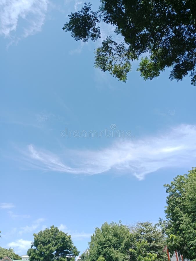 Nice Weather with Pigeon Resting on the Roof with Sky Foreground Stock ...