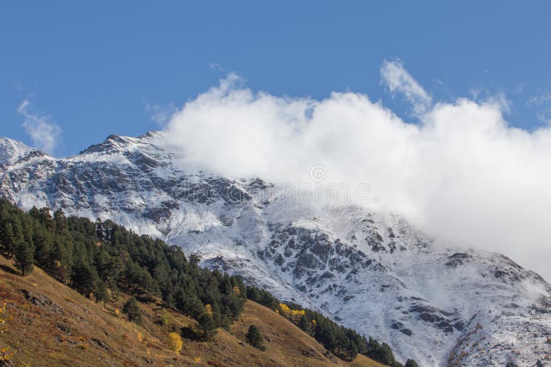 Nice Weather in the Mountains. Mountain with Plants Stock Image - Image ...
