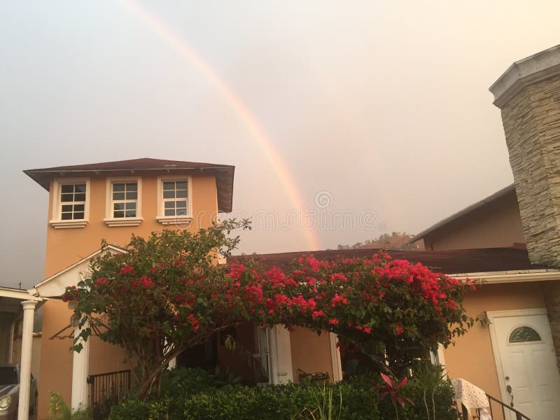 Nice Weather with Pigeon Resting on the Roof with Sky Foreground Stock ...