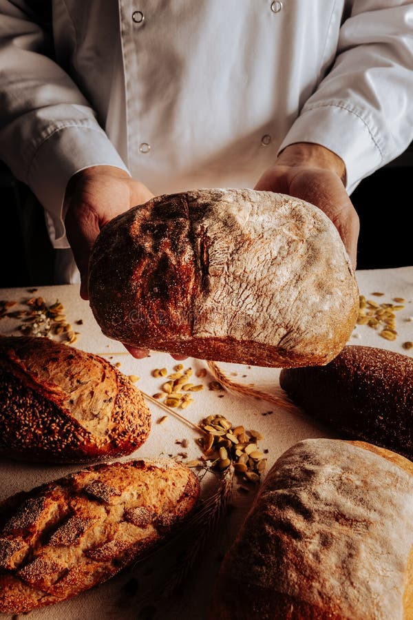 Nice Wheat Bread in Hands of Professional Experienced Baker Stock Photo ...