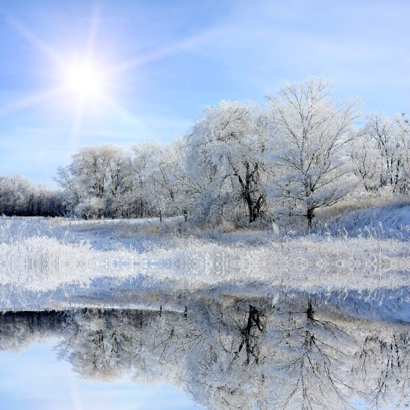 Winter scene stock image. Image of landscape, holiday - 4703347