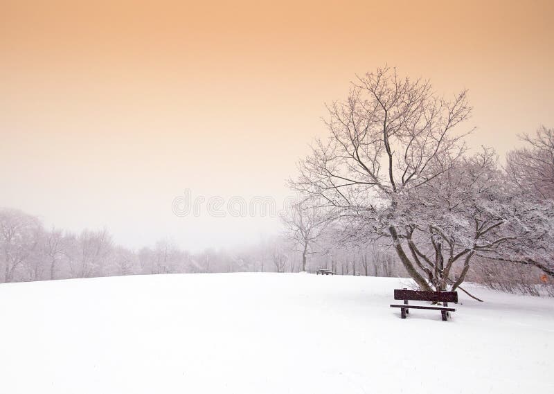 Nice winter photo stock image. Image of view, harmony - 22128411