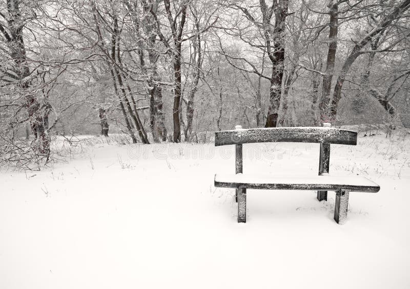 Nice winter photo stock image. Image of background, outdoor - 22129165