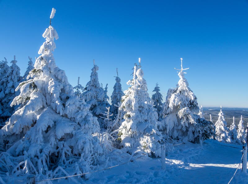 Nice winter landscape stock image. Image of serenity - 50349521