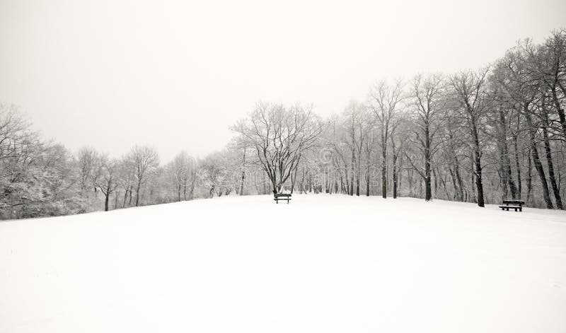 Nice winter scene stock photo. Image of harmony, background - 22388068