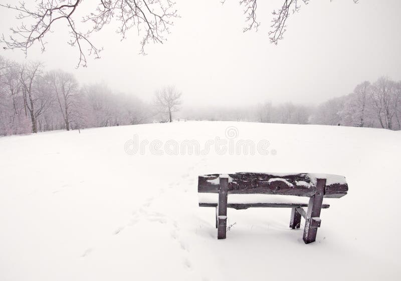 Nice winter scene stock image. Image of white, path, nature - 22388221
