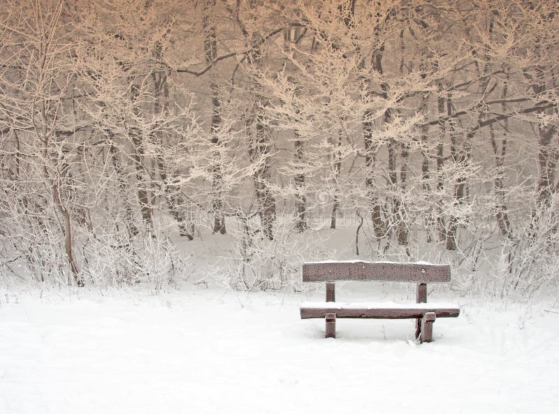 Nice winter scene stock photo. Image of nature, white - 22580152