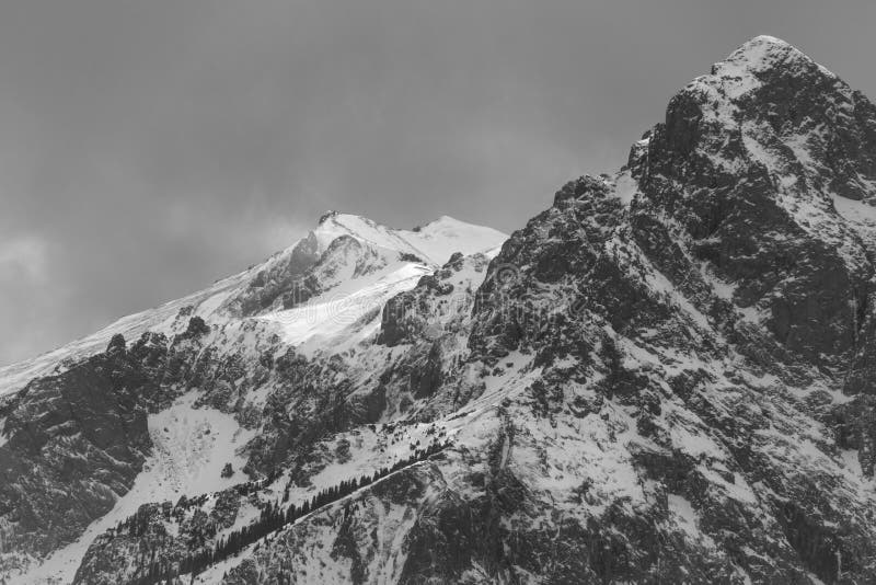 Nice winter view stock image. Image of wilderness, spring - 74198627