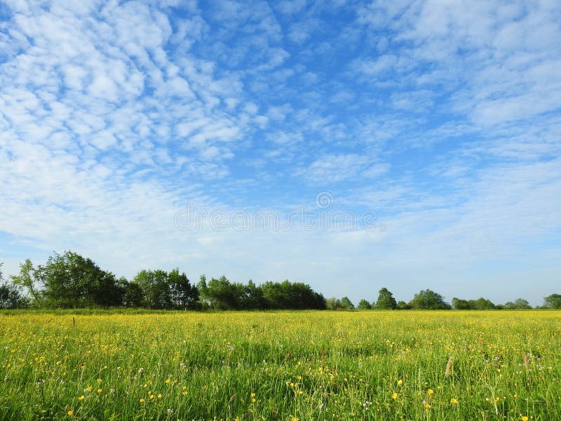 Beautiful Spring Trees and Field, Lithuania Stock Image - Image of ...
